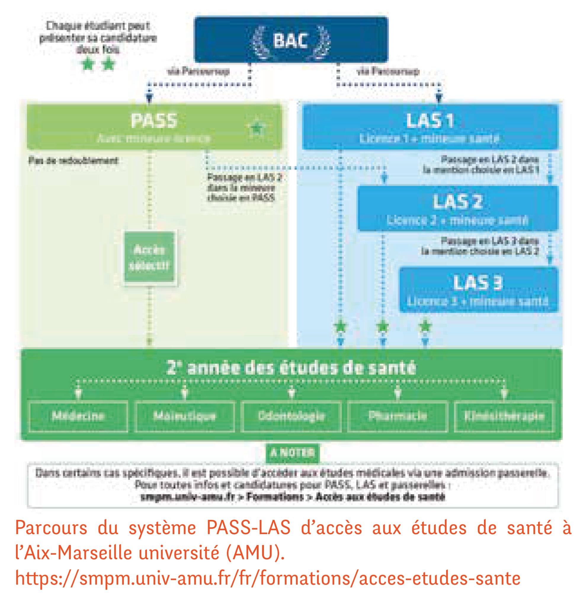 Accès aux études de santé : vers une voie unique LAS ? > SNCS-FSU